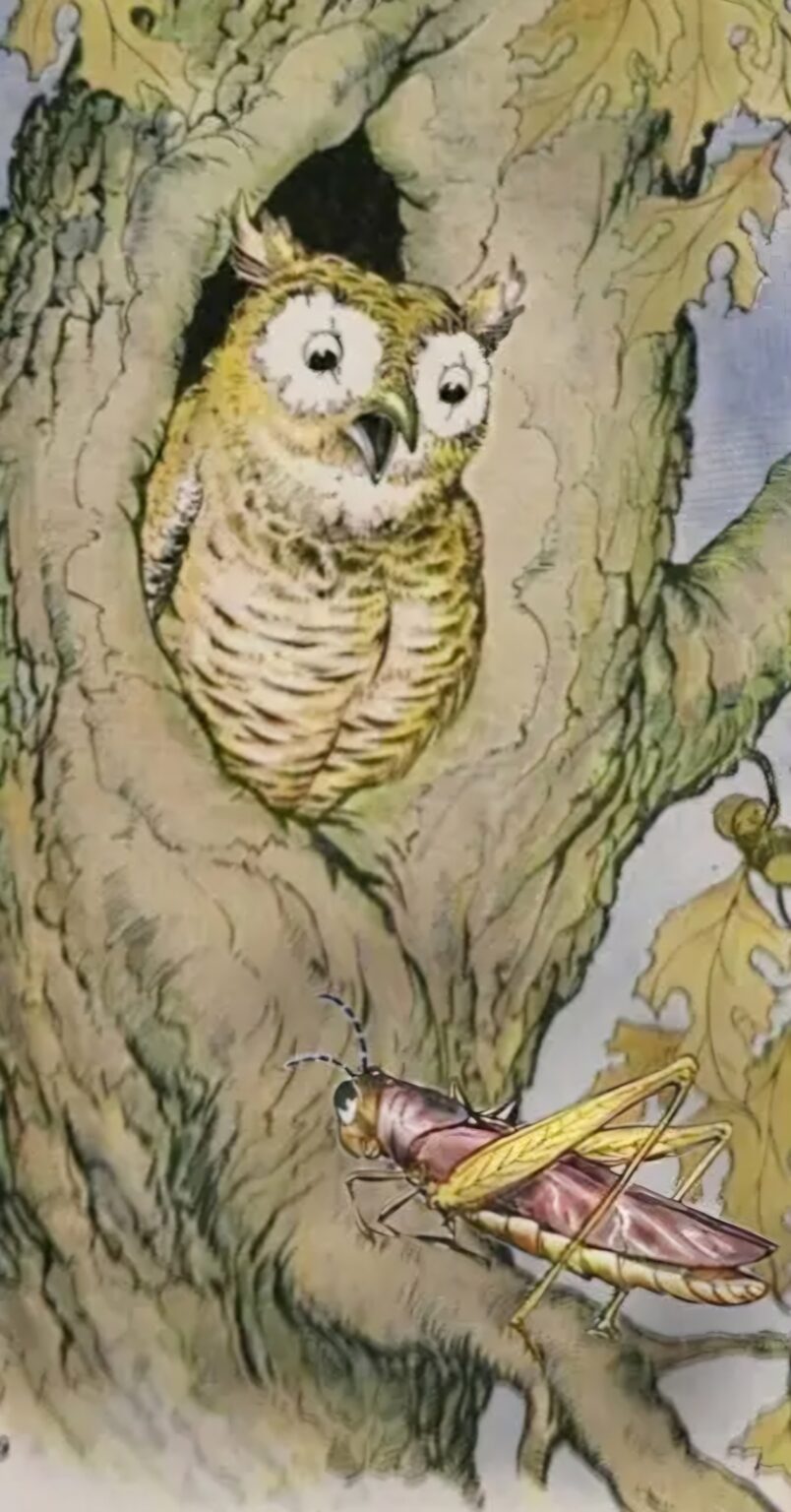 Las fábulas de Aesop: «La Kukuvaya i el Griyo» trezladado por Roz Kohen ...